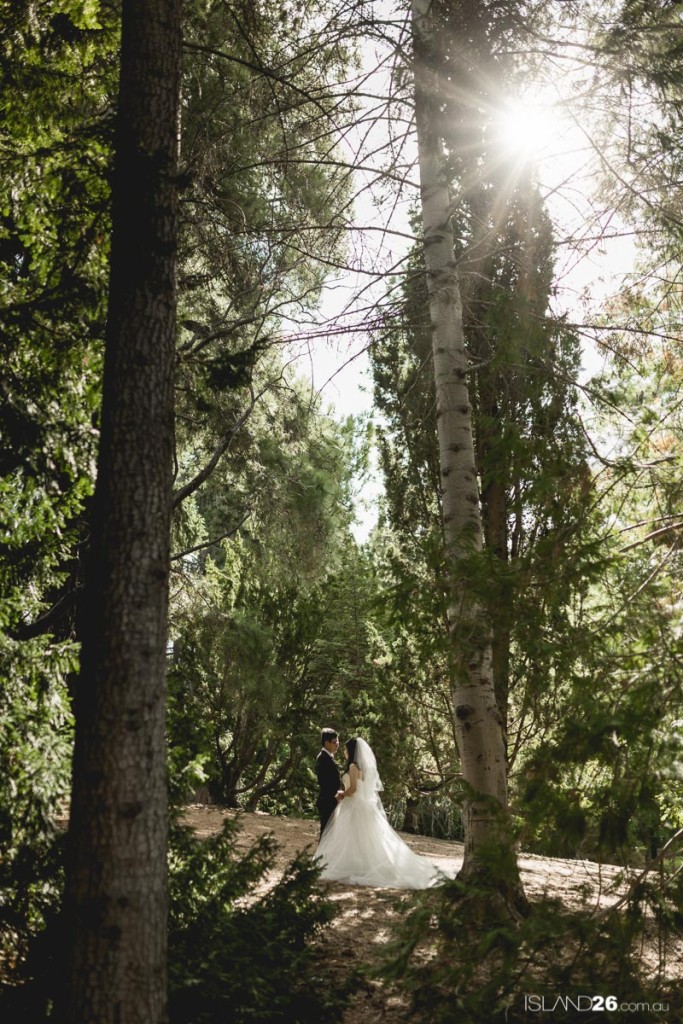 Hobart Photographer | Tony Lomas